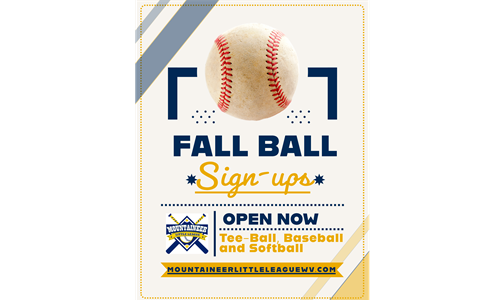 Home [www.mountaineerlittleleaguewv.com]